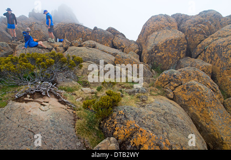 Hikers on the summit of Mt Ossa Stock Photo - Alamy