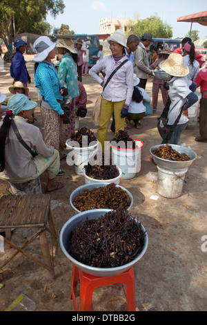 Fried Tarantula spiders being sold by women vendors at Skuon Cambodia ...