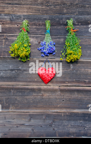 medical herbs flowers bunches and red heart symbol on old wooden farm ...