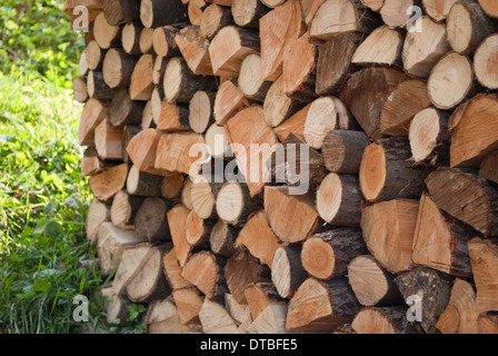 Firewoods after the sawing wood Stock Photo - Alamy