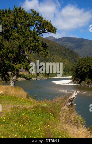 View of the Buller River Valley in New Zealand Stock Photo - Alamy