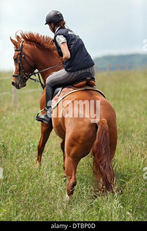 Horse shy on horseback Stock Photo - Alamy