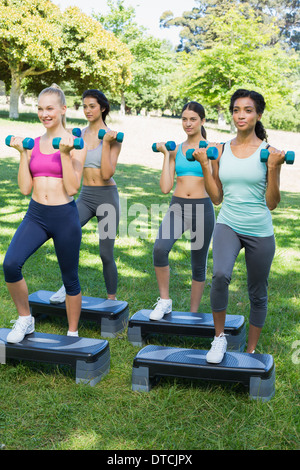 Woman doing lifting dumbbells up while standing Stock Photo - Alamy