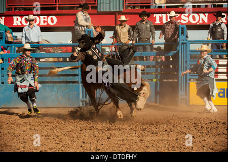 Tucson, Arizona, USA. 15th Feb, 2014. TYLER CORRINGTON rides a saddle ...