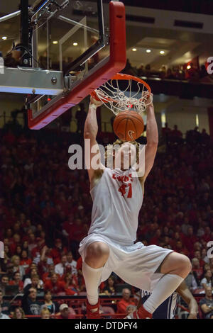 Albuquerque, New Mexico. 15th Feb, 2014. New Mexico Lobos center Alex ...