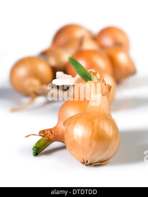 Small onions on white background Stock Photo - Alamy