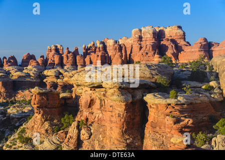 Needles rock formations, Canyonlands National Park, Utah, USA Stock ...