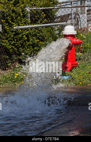 A damaged red fire hydrant spraying water at the city street and ...