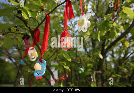 Berlin, Germany, a pacifier pacifier tree Stock Photo - Alamy