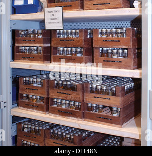 Zoological specimens in the Darwin Centre Stock Photo - Alamy