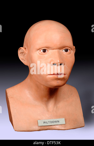 Piltdown Man (Model based on Piltdown 1 & 2 Stock Photo - Alamy