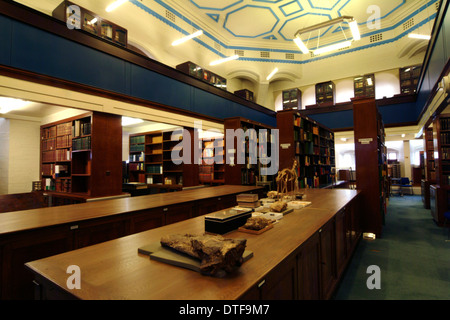 The Botany Library Stock Photo - Alamy