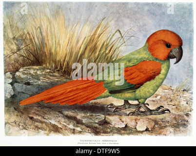 Lord Lionel Walter Rothschild (1868-1937 Stock Photo: 66716064 - Alamy