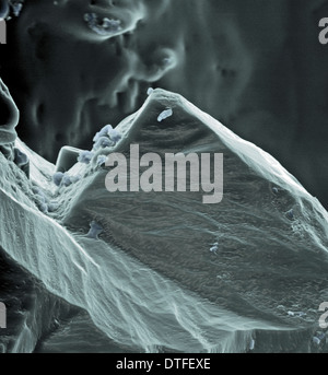 Sea salt, scanning electron micrograph (SEM Stock Photo - Alamy