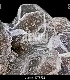 Sugar, scanning electron micrograph (SEM Stock Photo - Alamy