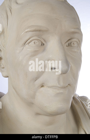 Bust of Carl Linnaeus (1707-1778), Swedish botanist and taxonomist ...