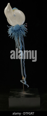 Physalia pelagica, jellyfish model Stock Photo - Alamy
