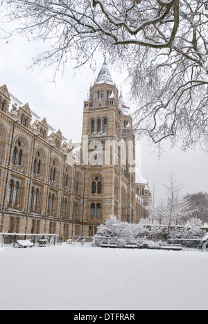 Natural History Museum, London. Alfred Waterhouse Tower Stock Photo - Alamy