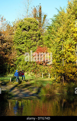 Autumn colours in Cornwall, UK Stock Photo - Alamy