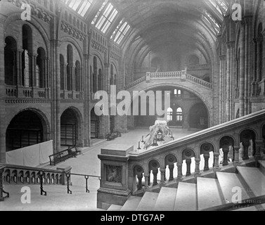 Central Hall. 1882 Stock Photo - Alamy