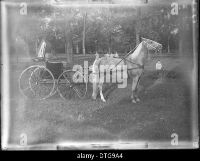 Horse and Carriage early 1900s, Horse and Buggy Stock Photo - Alamy