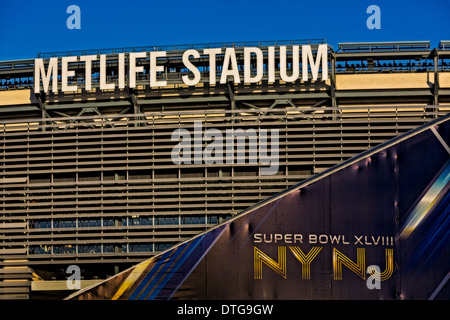 METLIFE STADIUM NEW JERSEY (NY), 06/15/2025 - CLUB WORLD CUP/PALMEIRAS ...