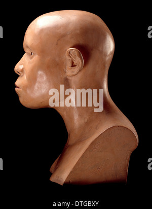 Model of Piltdown man Stock Photo - Alamy