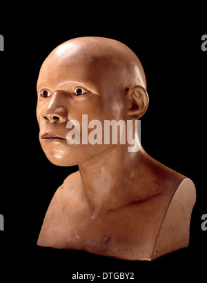 Piltdown Man (Model based on Piltdown 1 & 2 Stock Photo - Alamy