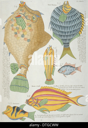 Colourful illustration of six fish Stock Photo - Alamy