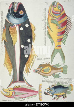 Colourful illustration of five fish Stock Photo - Alamy