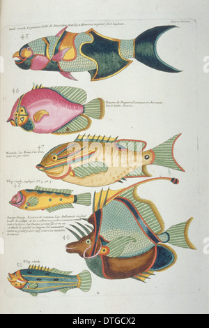 Colourful illustration of six fish Stock Photo - Alamy