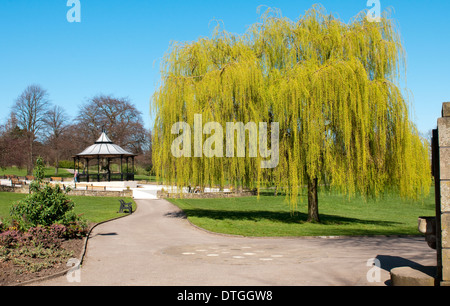 Spring at Carr Bank Park in Mansfield, Nottinghamshire England UK Stock ...