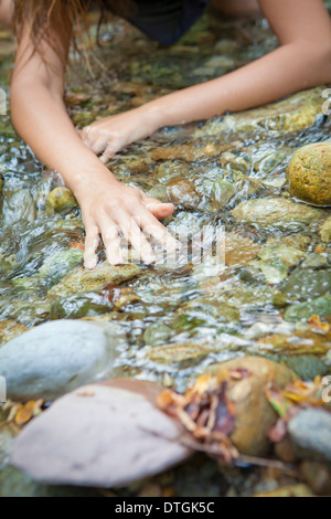 woman's hands in a stream Stock Photo - Alamy