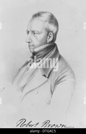 Robert Brown (1773-1858 Stock Photo - Alamy
