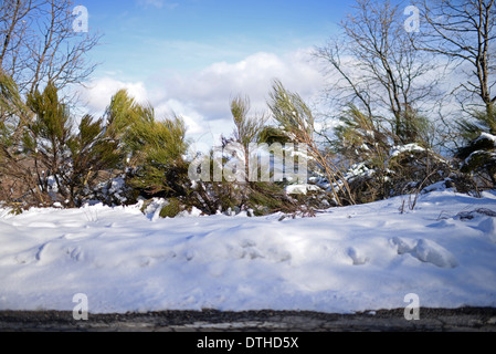 Winter landscape in Vigo de Sanabria, Zamora Stock Photo - Alamy