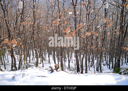 Winter landscape in Vigo de Sanabria, Zamora Stock Photo - Alamy
