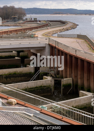 fish ladder built by Vattenfall, River Elbe near Geesthacht, Schleswig ...