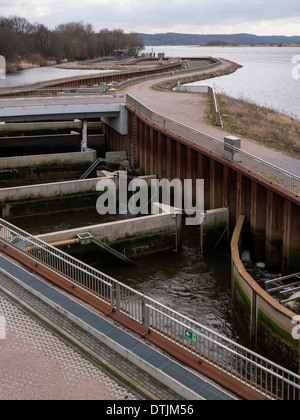 fish ladder built by Vattenfall, River Elbe near Geesthacht, Schleswig ...