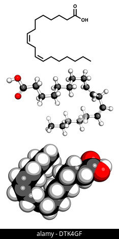 Linoleic acid (LA) molecule. Omega-6 polynsaturated fatty acid ...