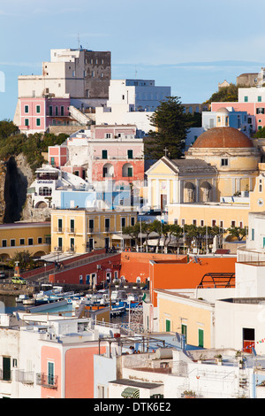 Italy, Ponza Island, Tyrrhenian sea, U.W. photo, hermit crab (Eupagurus ...