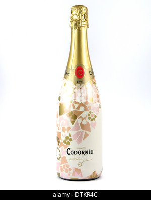 Codorniu Brut Cava Spanish sparkling wine bottles chilled on a ice ...
