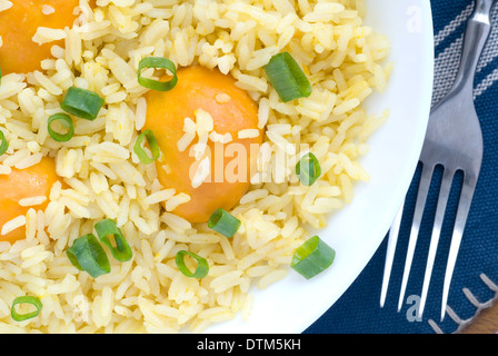 rice with pequi, Brazilian dish Stock Photo - Alamy