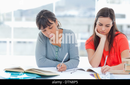 Two students doing homework together and helping each other sitting in ...
