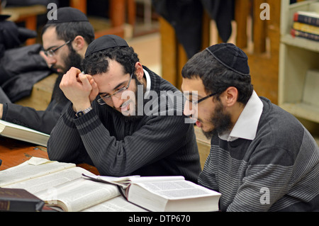 4 religious Jewish students studying Talmud at Lubavitch headquarters ...