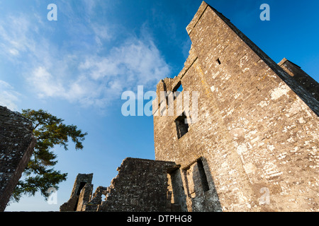 Bective Abbey County Meath Ireland Stock Photo - Alamy