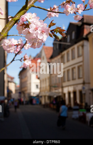 Pedestrian zone, Bamberg in spring Stock Photo - Alamy
