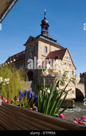 spring flowers in germany Stock Photo - Alamy