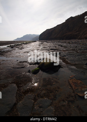 Ravenscar from Stoupe Beck, Robin Hood's Bay Stock Photo - Alamy