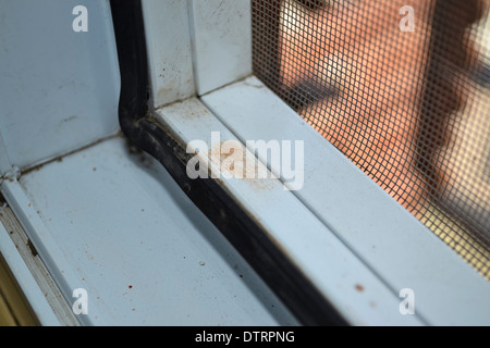 Bloody fingerprint on window Stock Photo: 22353272 - Alamy