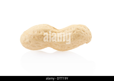 Single peanut with shell on a yellow background Stock Photo - Alamy